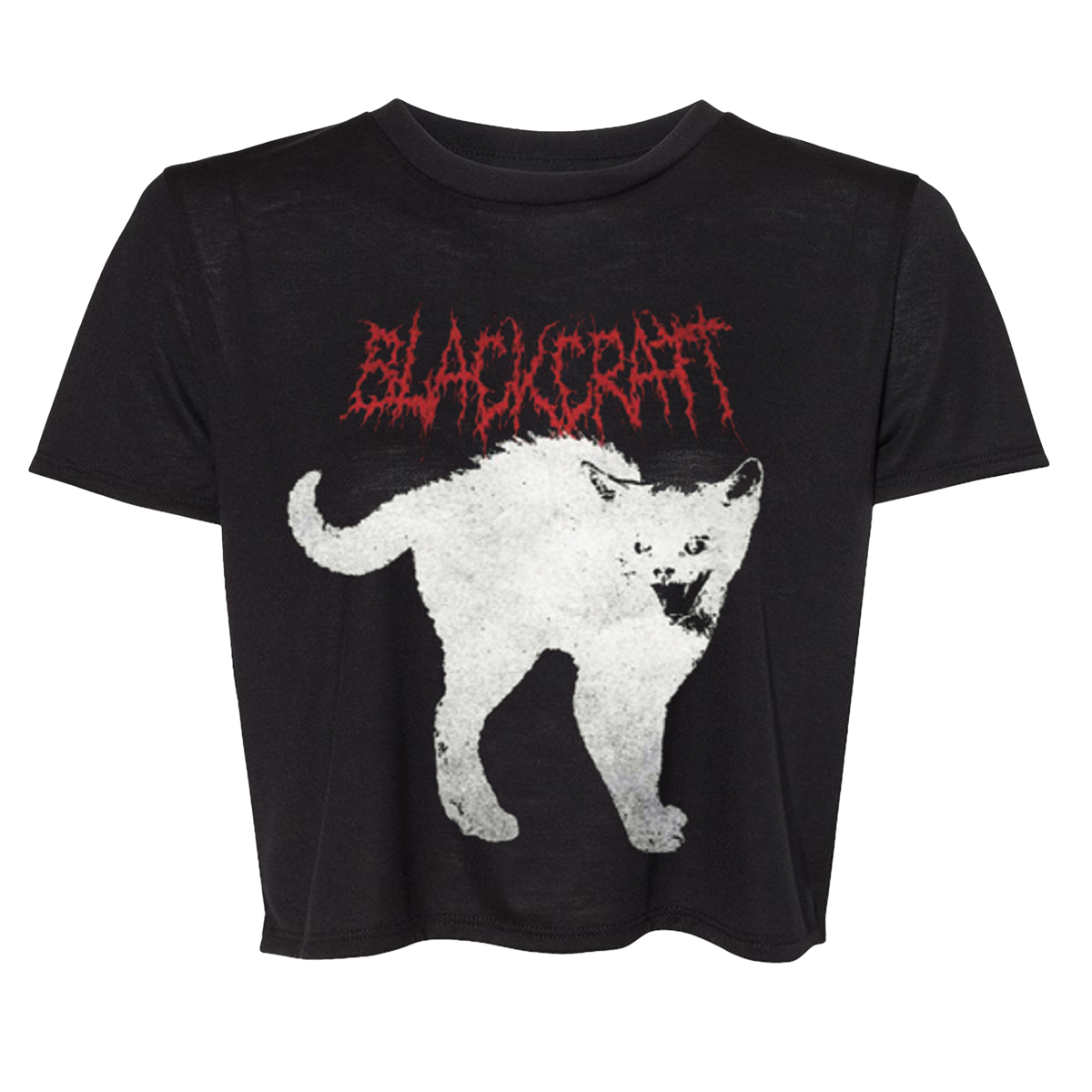 BLACKCRAFT Store - Black Scaredy Cat Crop Top – Blackcraft